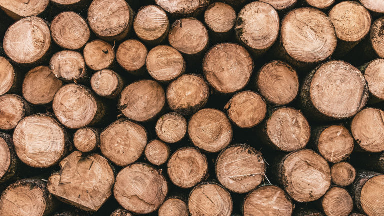Logs in GO - J&J Ideenschmiede GmbH